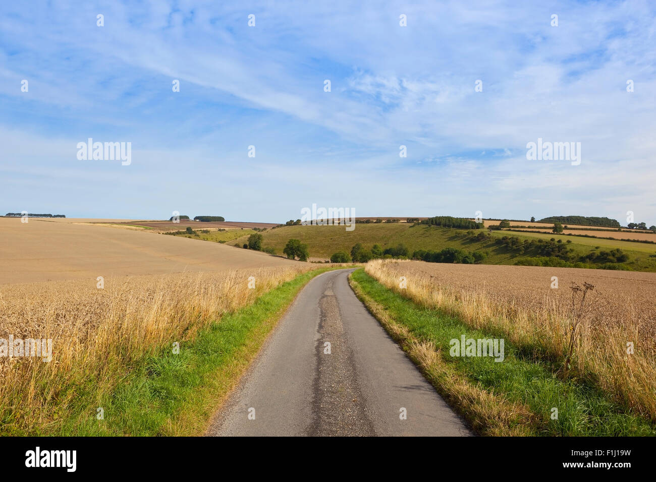 A small country road through Burdale in the patchwork landscape of the ...
