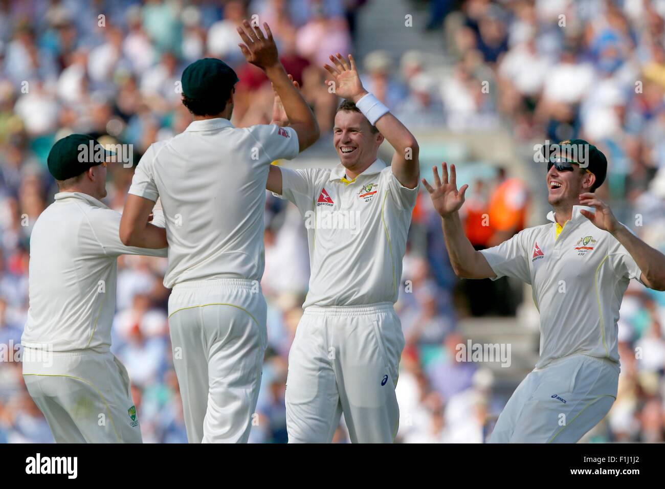 Australia’s Peter Siddle celebrates dismissing England’s Adam Lyth ...