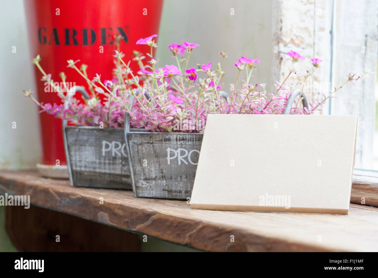 Cardboard box blank area hi-res stock photography and images - Alamy