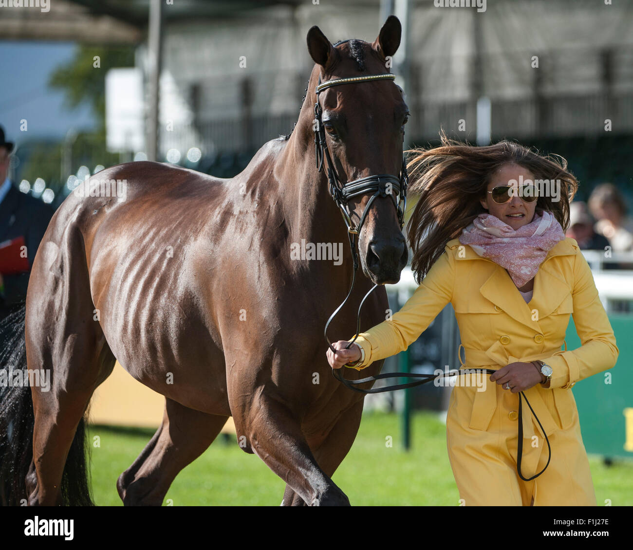 Donner house hi-res stock photography and images - Alamy