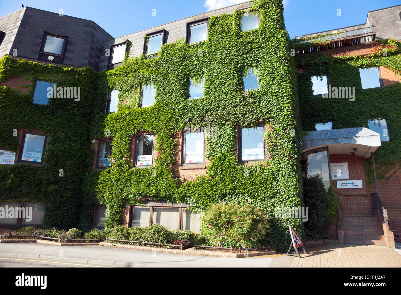 Overgrown buildings hi-res stock photography and images - Alamy