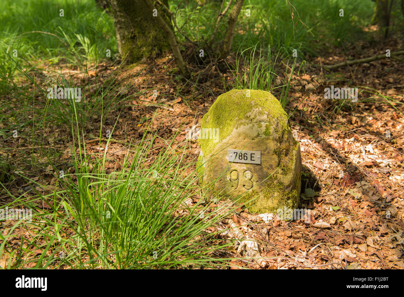 Historic boundary stone Germany Netherlands Stock Photo - Alamy
