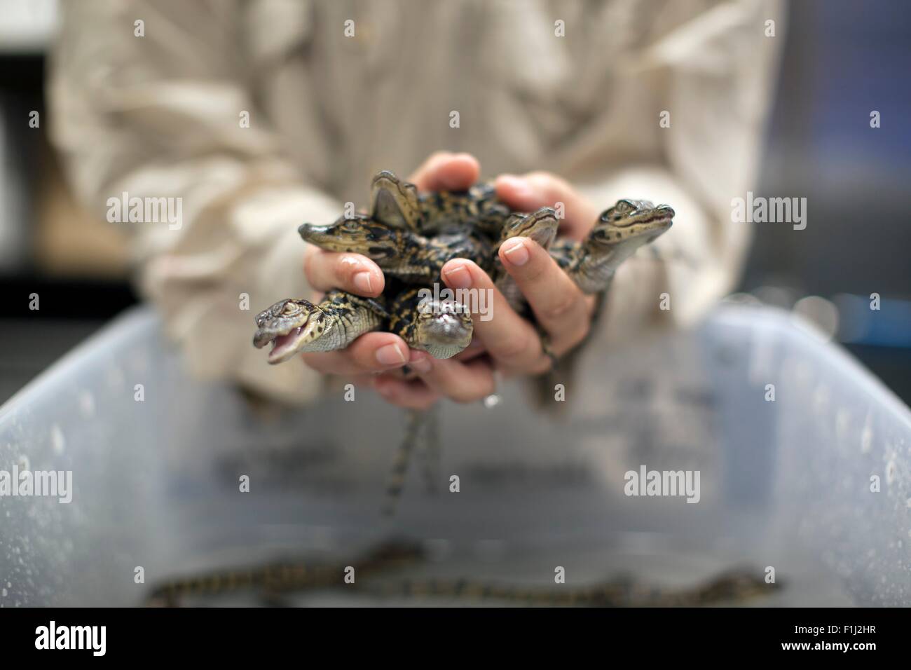 Inomedic hi-res stock photography and images - Alamy