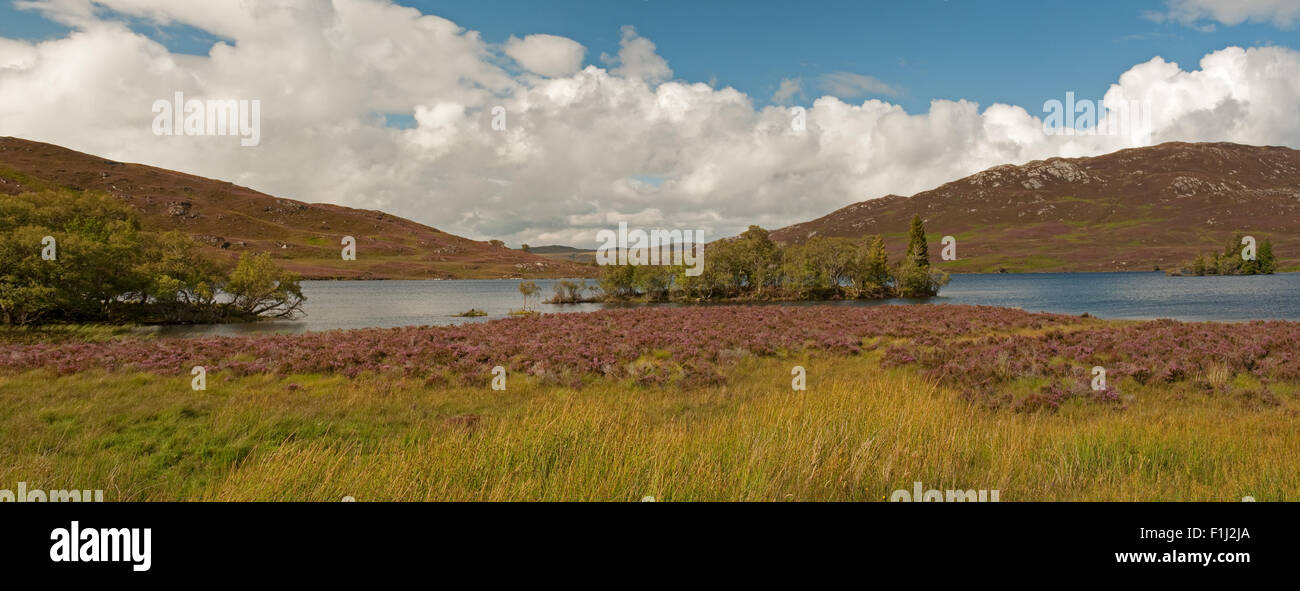 Loch Tarff with the Heather out in flower panoramic Stock Photo - Alamy