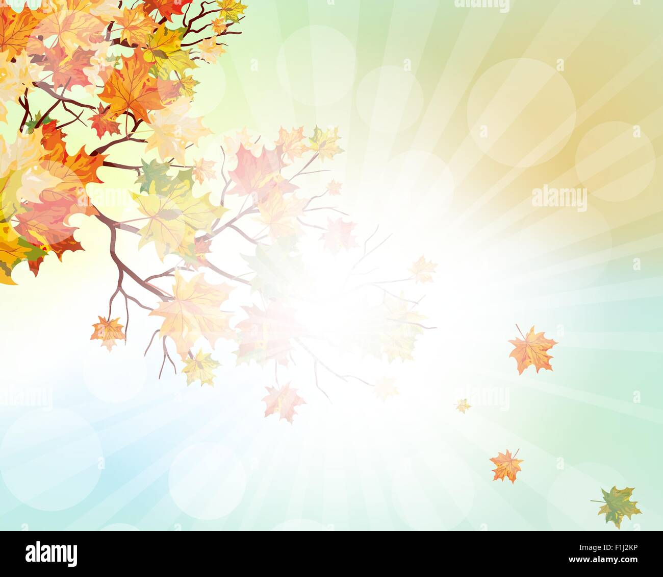 Autumn Frame With Falling Maple Leaves on Sky Background. Elegant ...