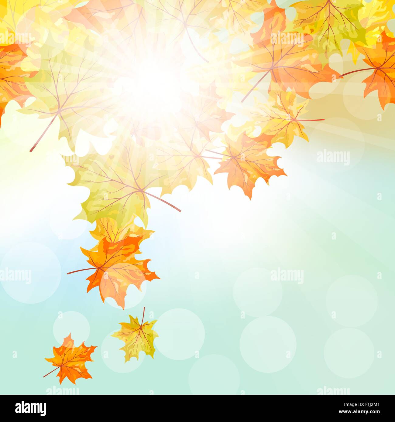 Autumn Frame With Falling Maple Leaves on Sky Background. Elegant ...