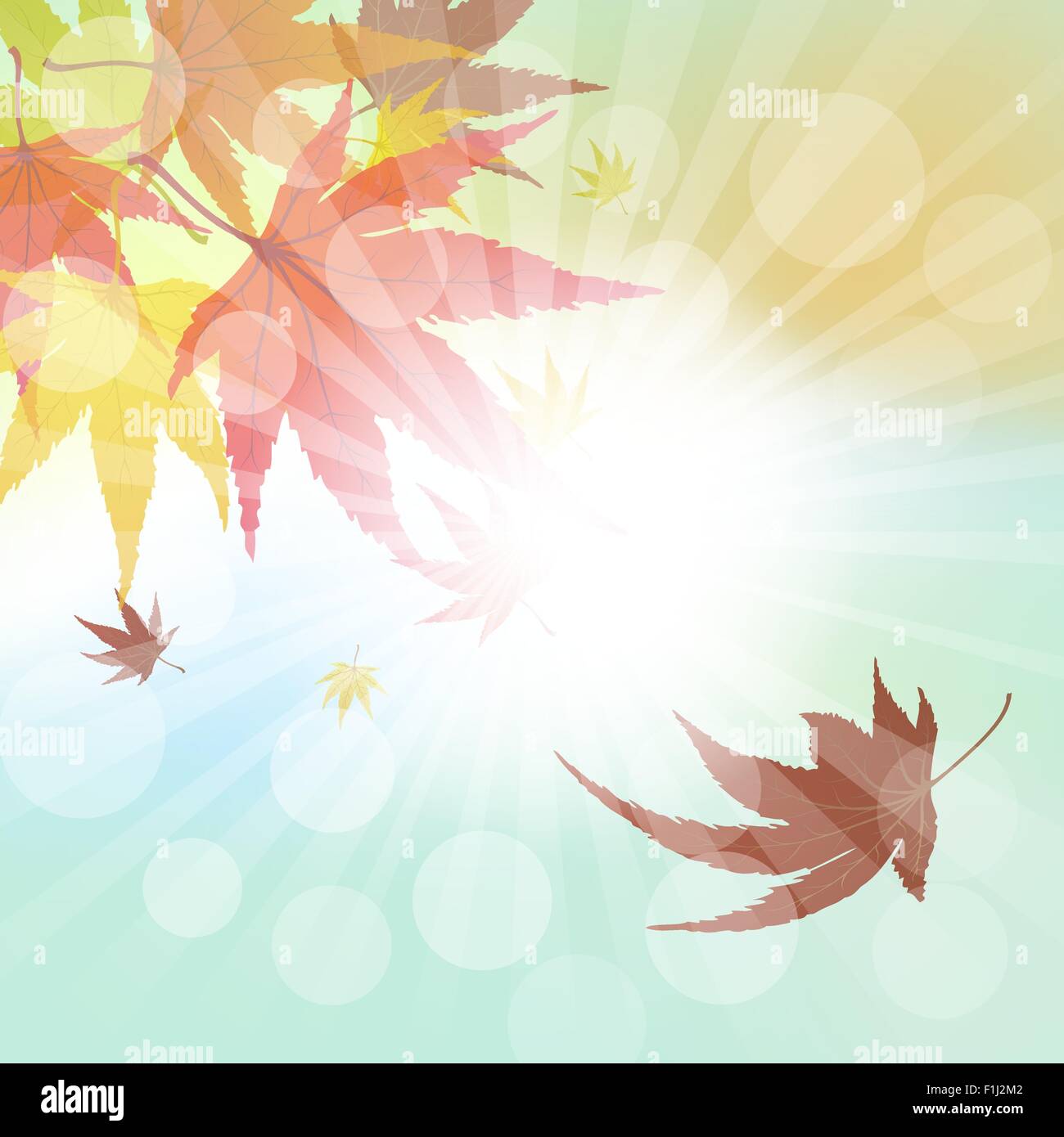 Autumn Frame With Falling Maple Leaves on Sky Background. Elegant ...