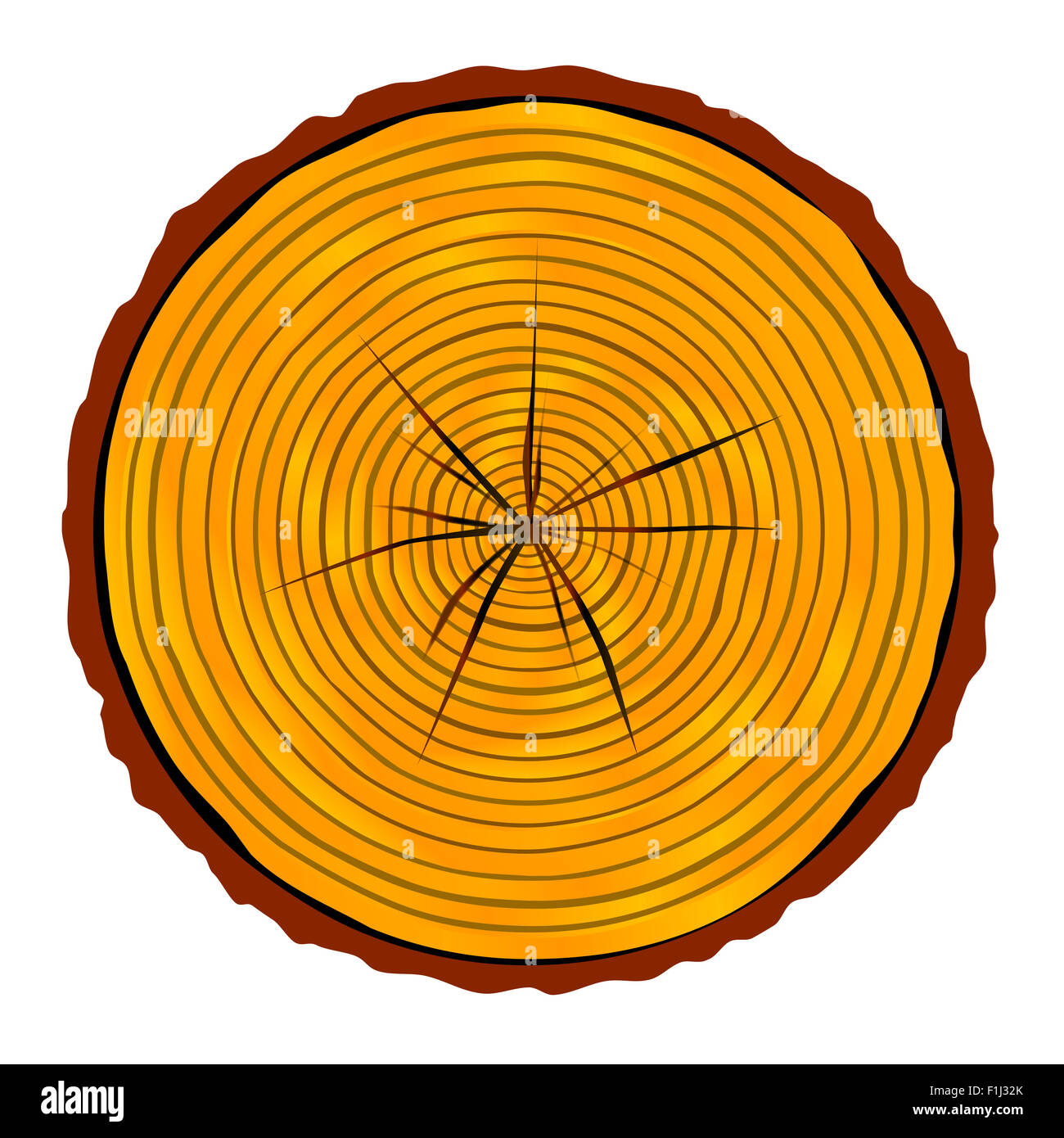A timber end section over a white background Stock Photo - Alamy