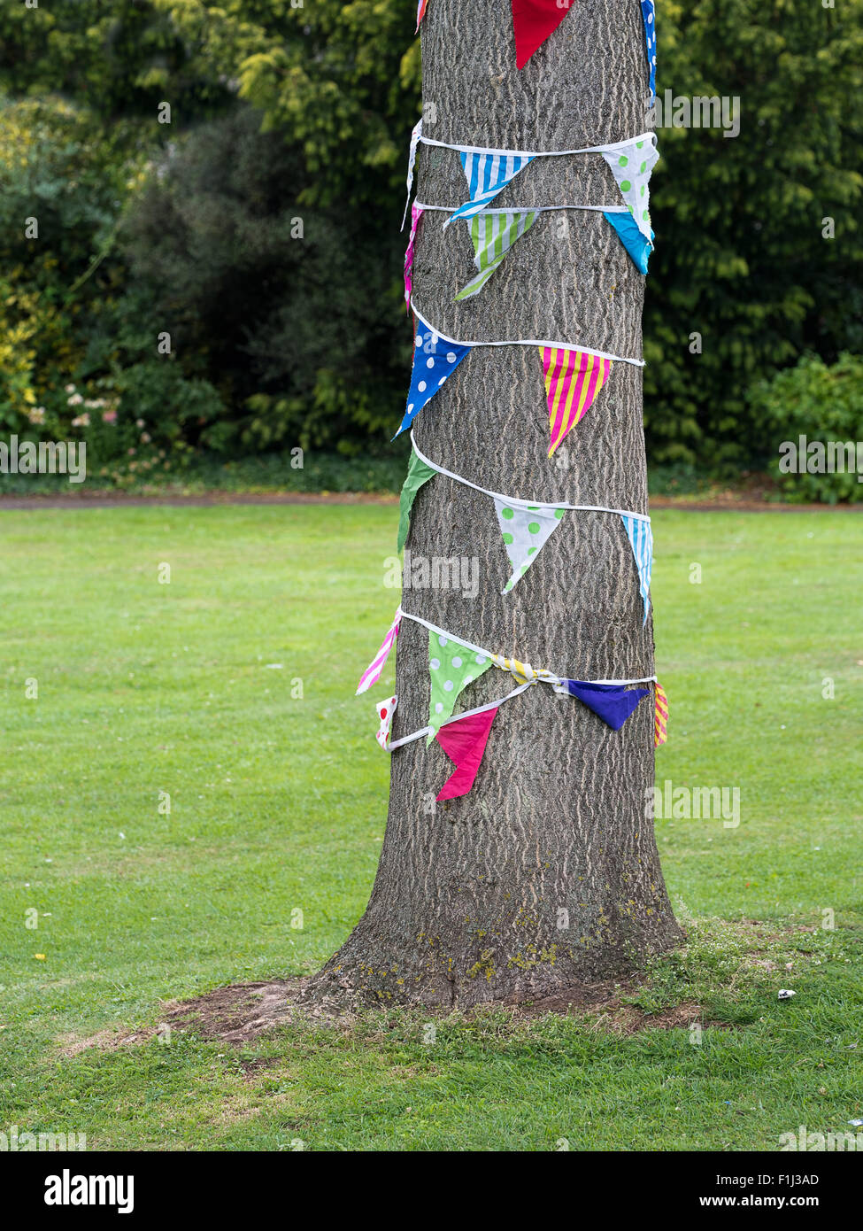 The tree bunting hi-res stock photography and images - Alamy