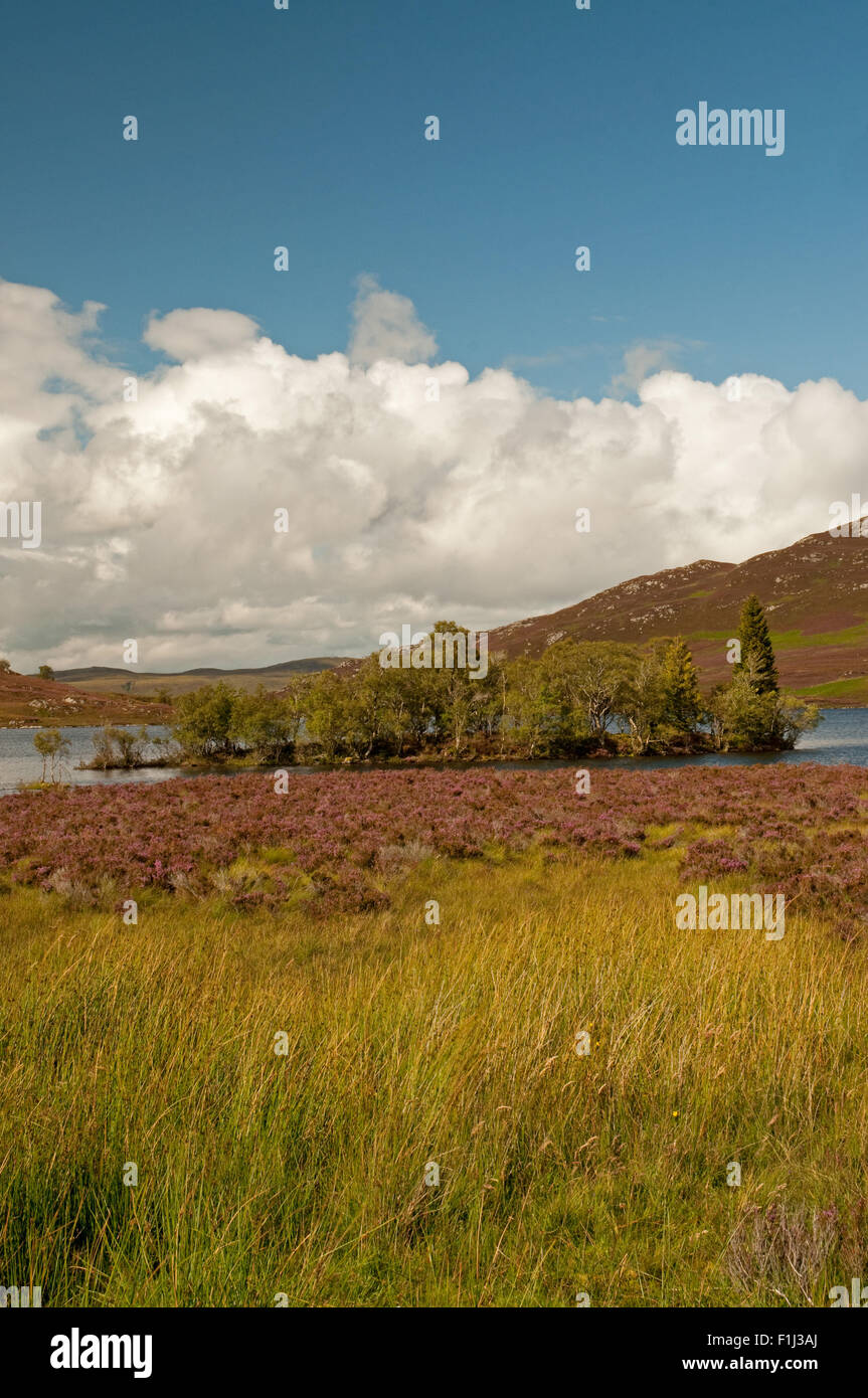 Loch Tarff with the Heather out in flower Stock Photo - Alamy