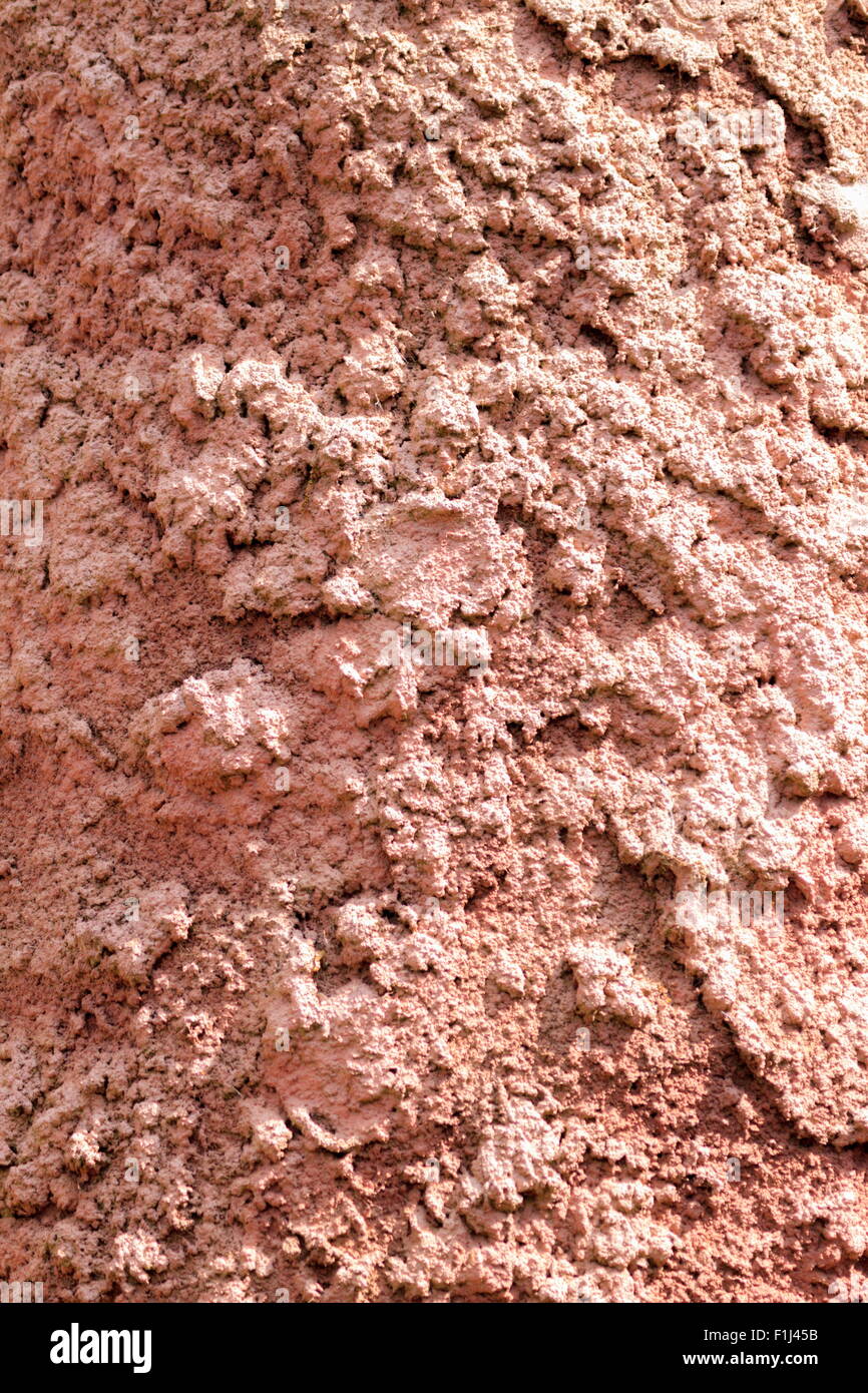 Bumpy Surface Stock Photos & Bumpy Surface Stock Images - Alamy