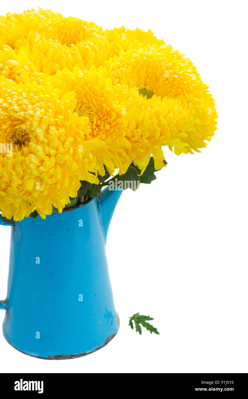 yellow mum flowers Stock Photo - Alamy