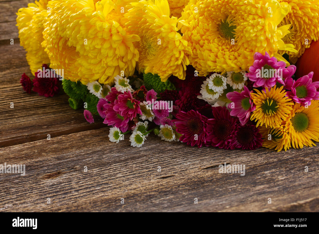 Bunch of mum flowers Stock Photo - Alamy