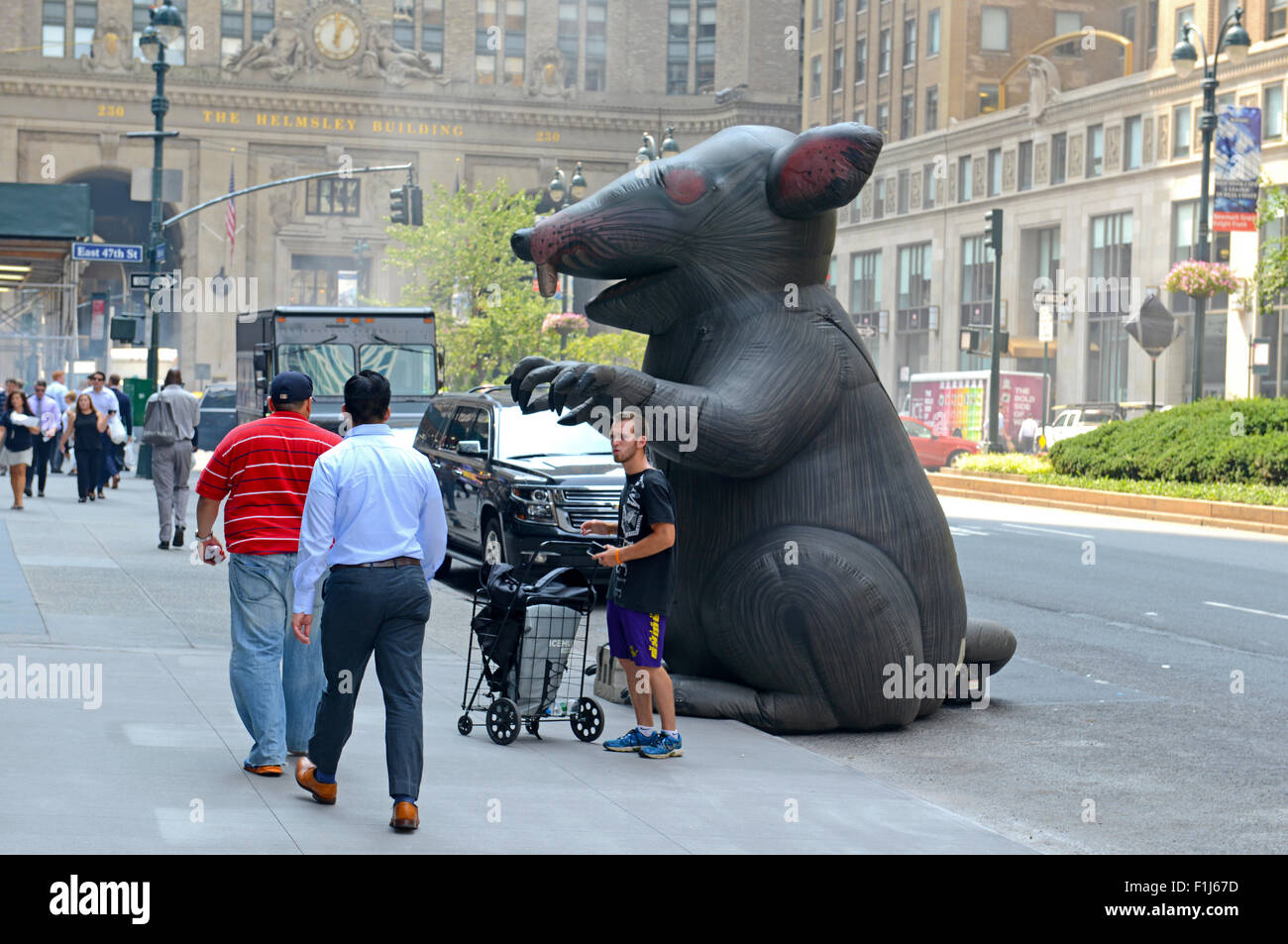 Picketi hi-res stock photography and images - Alamy