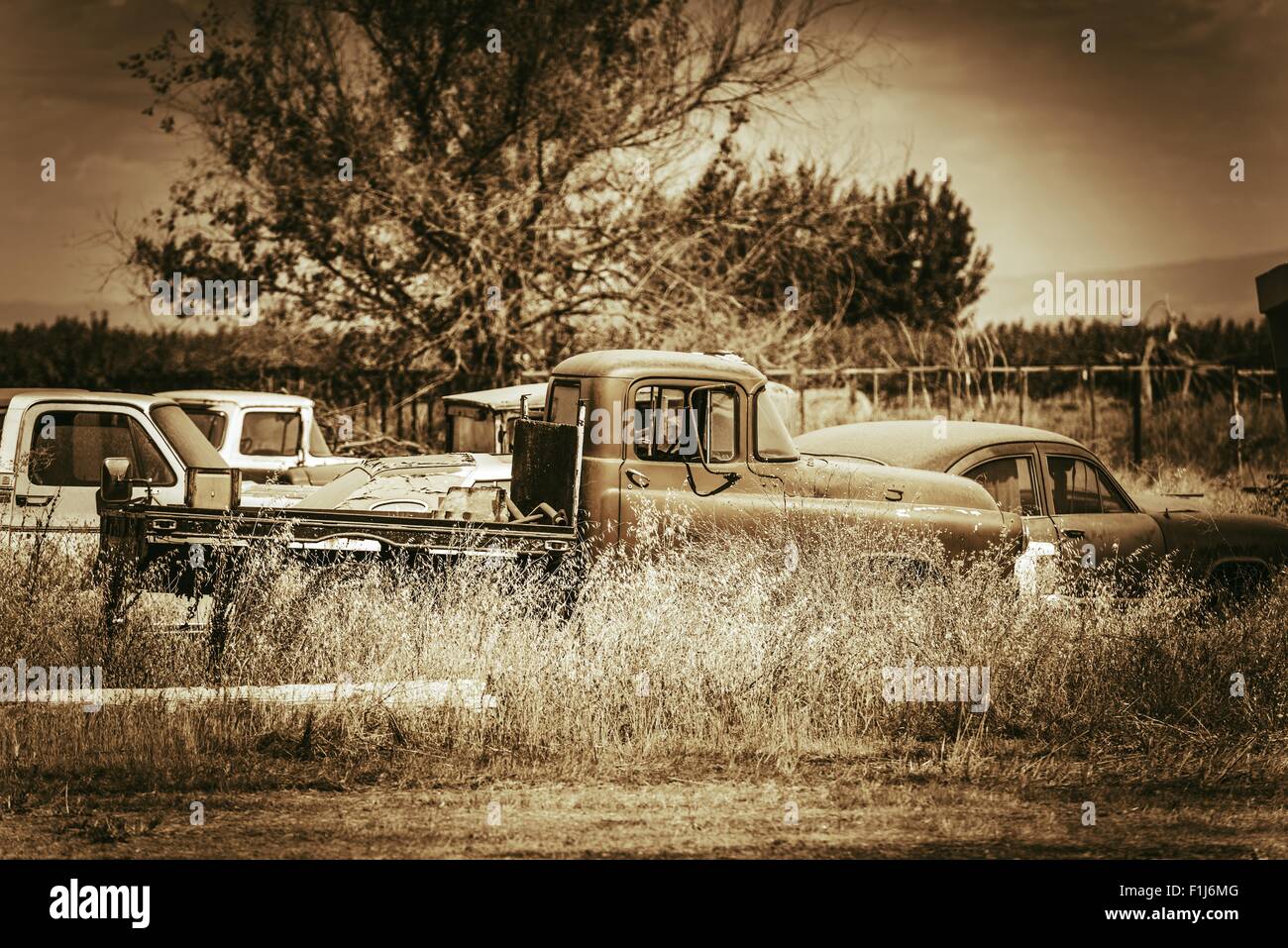 Aged American Cars Graveyard Somewhere in California. Rusty Abandoned ...