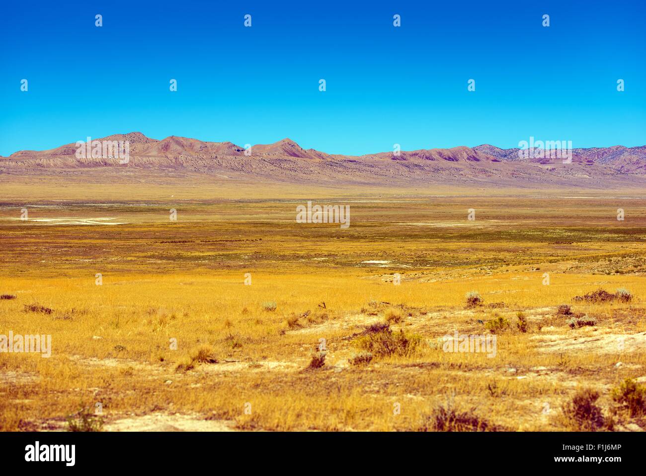 Rural ranch lands hi-res stock photography and images - Alamy