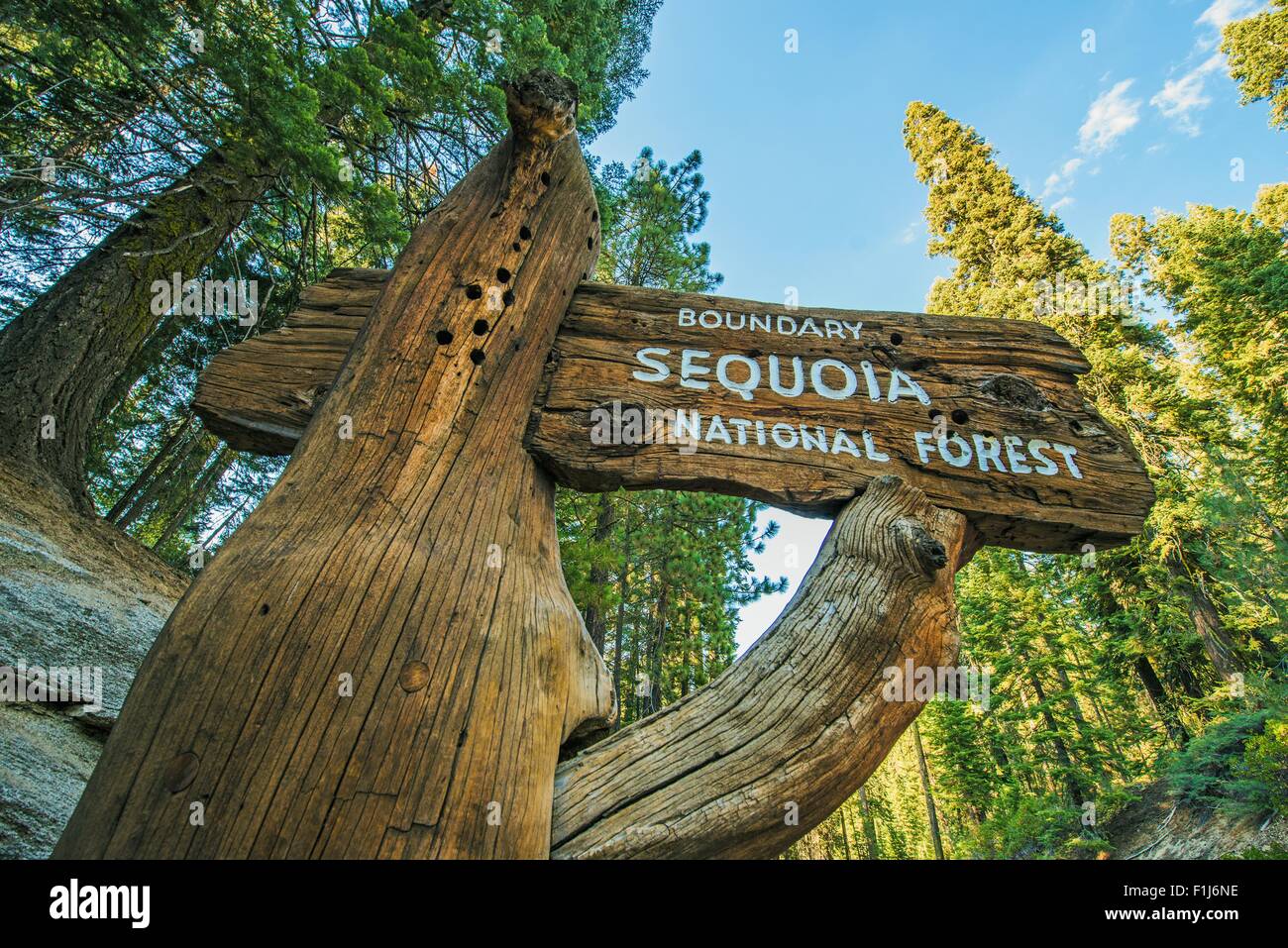 Sequoia National Forest Wooden Sign on the Sequoia National Park Road ...