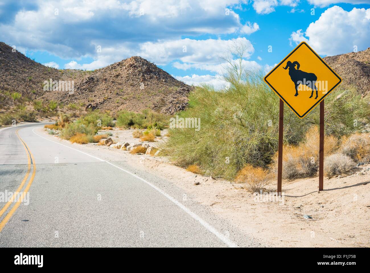 Desert Bighorn Sheep Sign on the Joshua Tree Park Road Stock Photo - Alamy