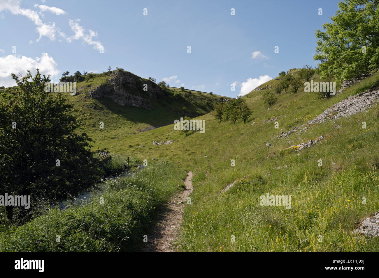 Lathkill Dale in the Peak District in Derbyshire England UK English ...