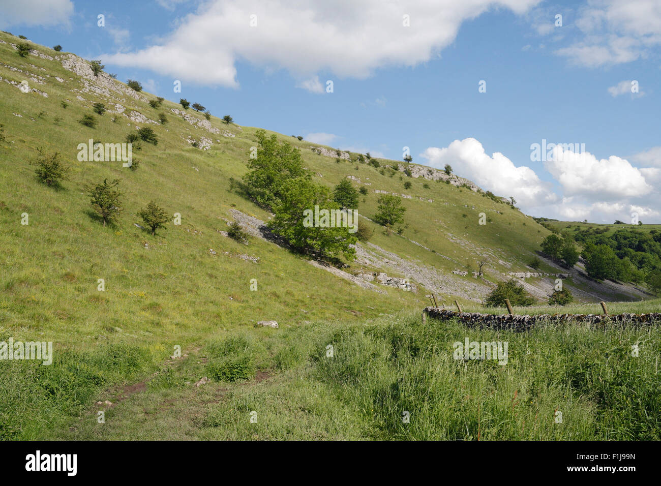 Lathkill Dale in the Peak District in Derbyshire England UK, English ...