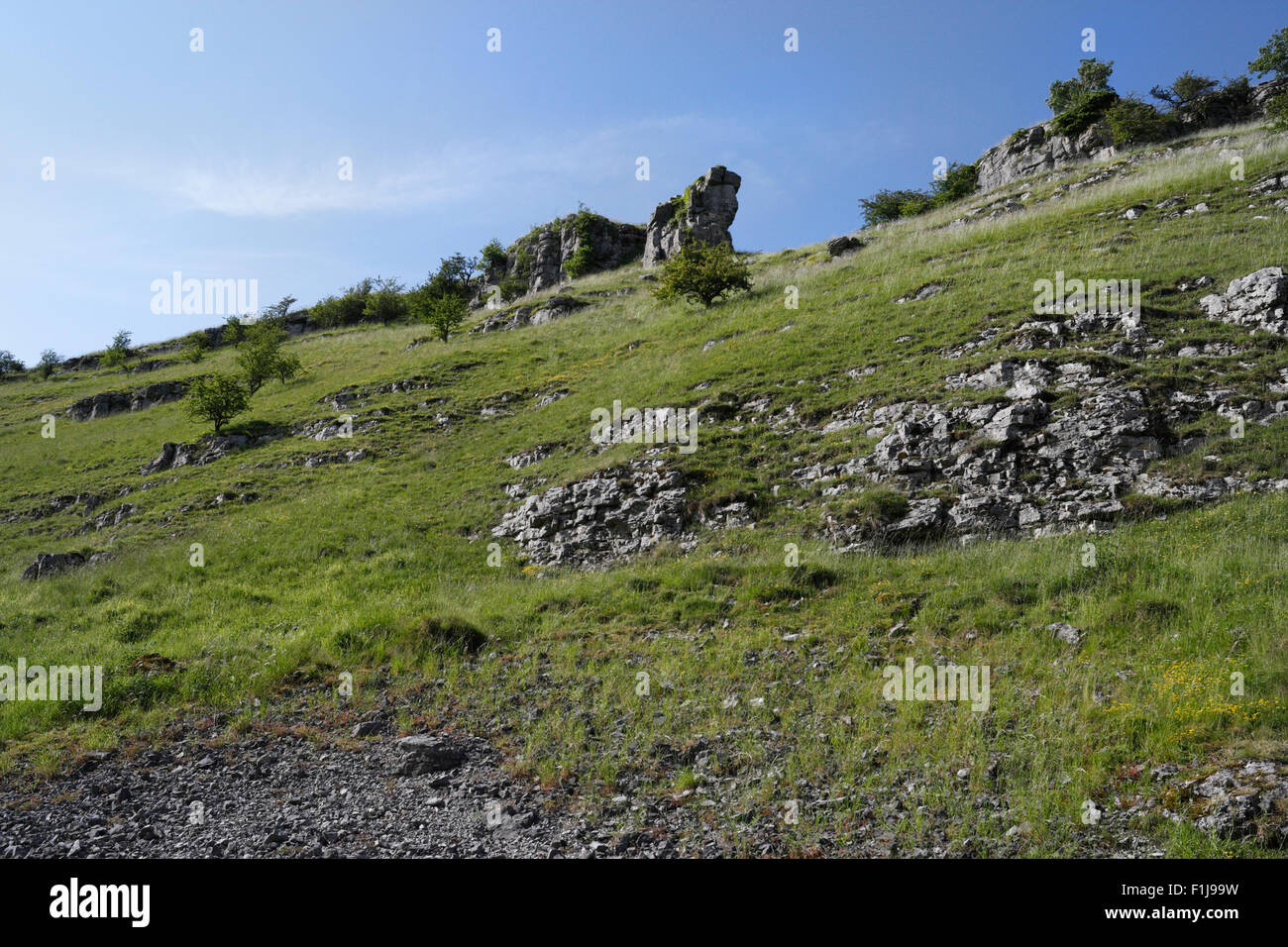 Lathkill Dale in the Peak District in Derbyshire England UK English ...