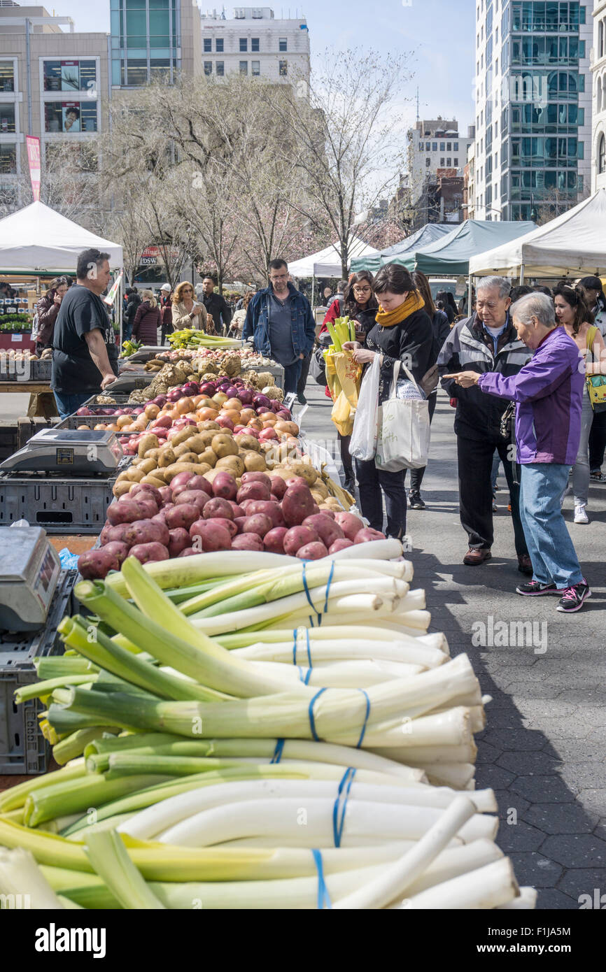 Long vegetables hi-res stock photography and images - Alamy