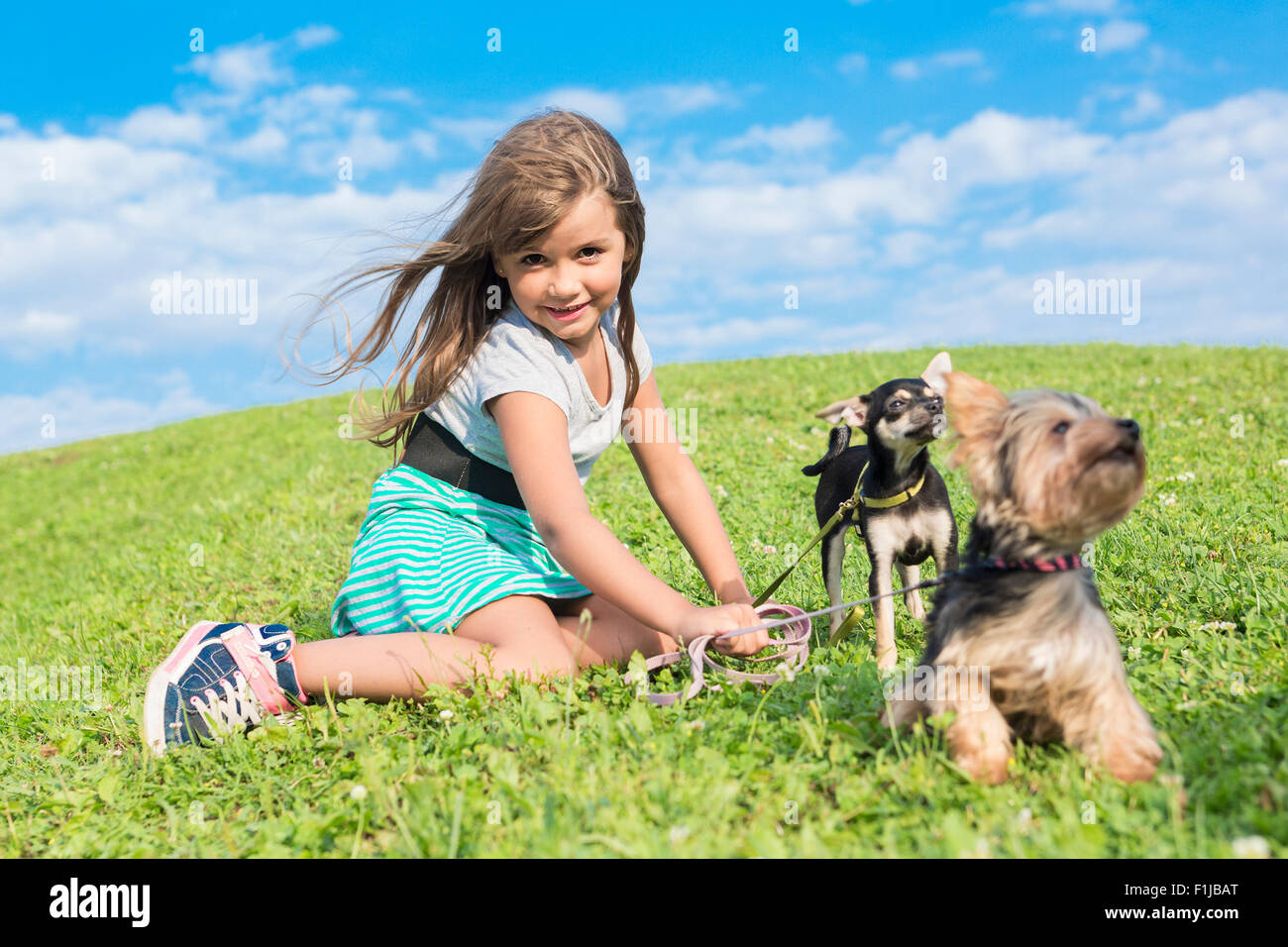 portrait of girl keeping pretty dog outdoor Stock Photo - Alamy