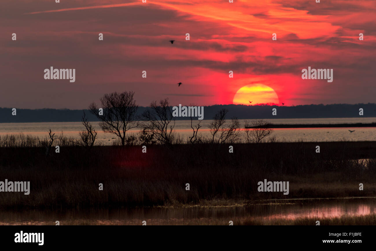 Assateague island beach hi-res stock photography and images - Alamy