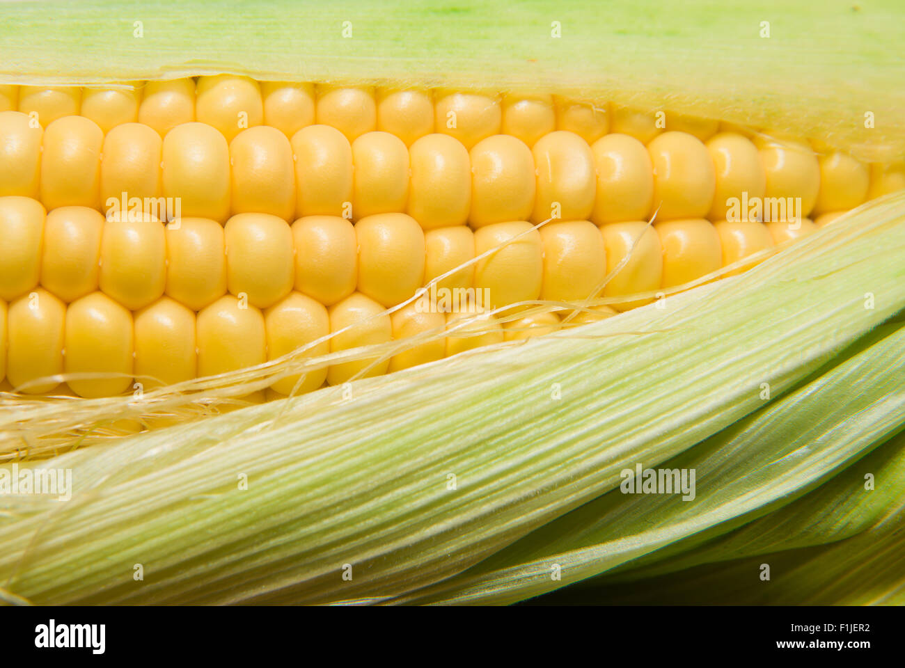 A ripe fruit of corn on a surface Stock Photo - Alamy