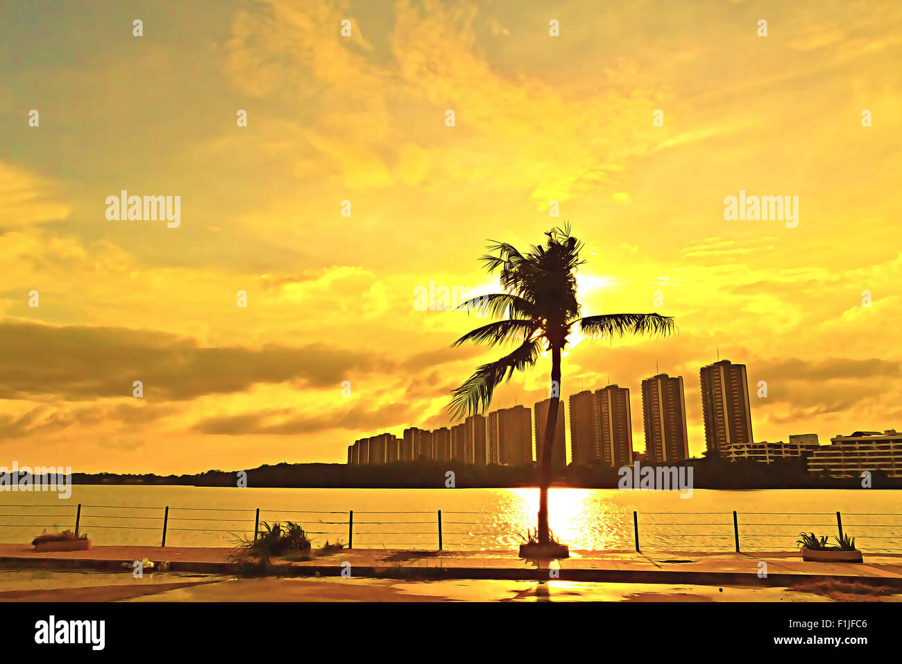 abstract background of The silhouette of a coconut tree Stock Photo - Alamy