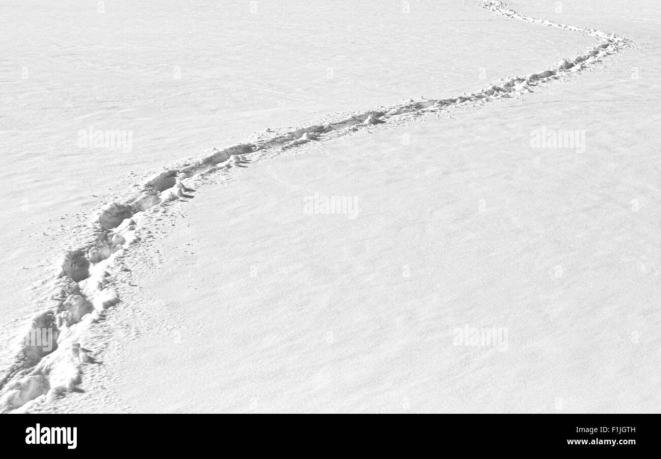 Single line of footprints in snow Stock Photo - Alamy