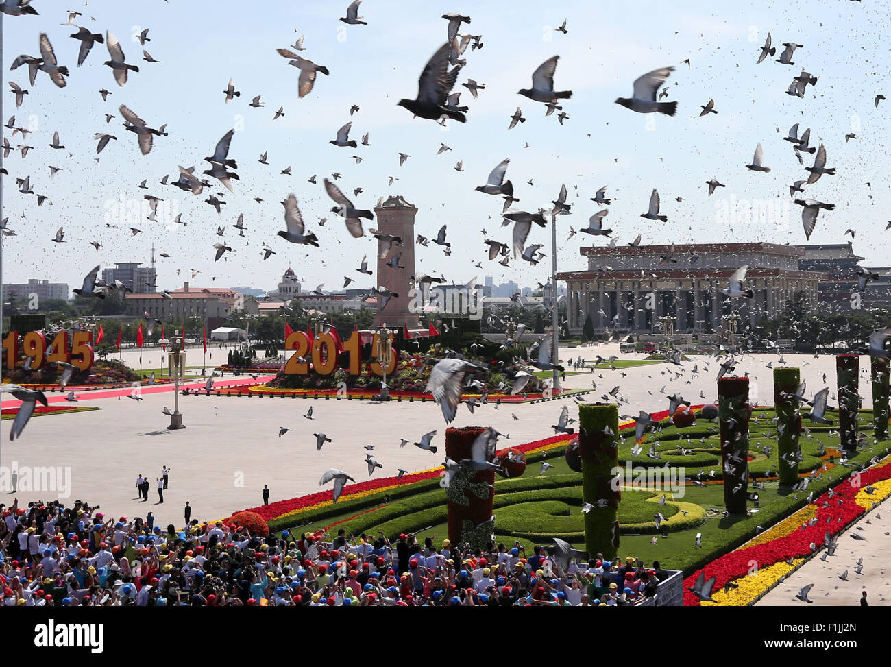 Japanese doves hi-res stock photography and images - Alamy