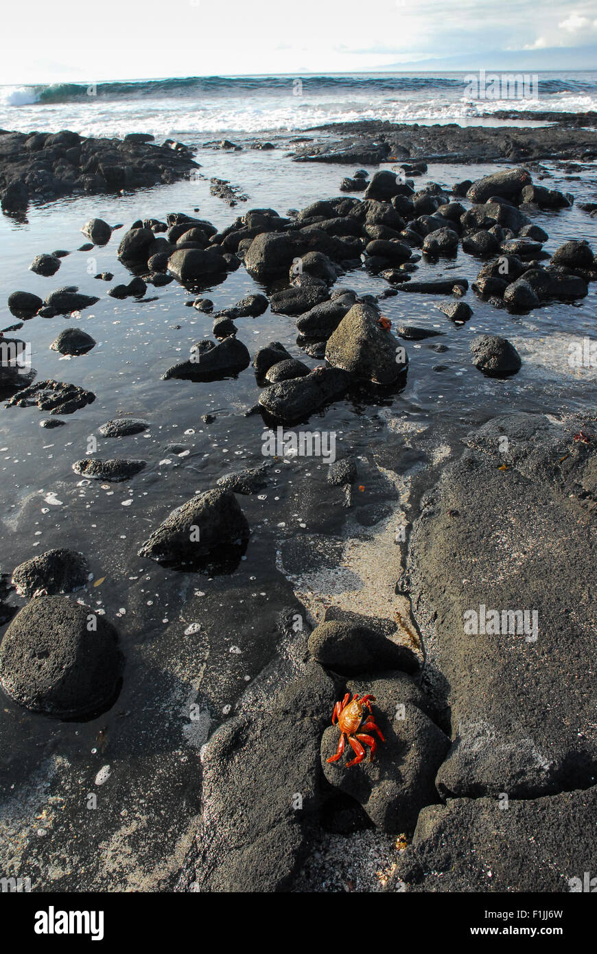 Lava pools hi-res stock photography and images - Alamy