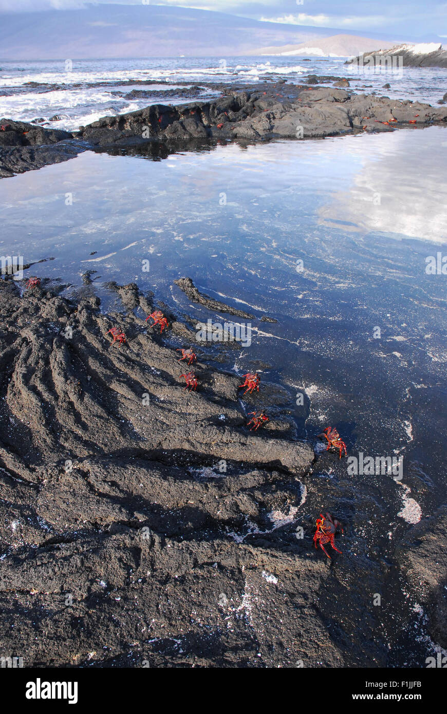Lava pools hi-res stock photography and images - Alamy