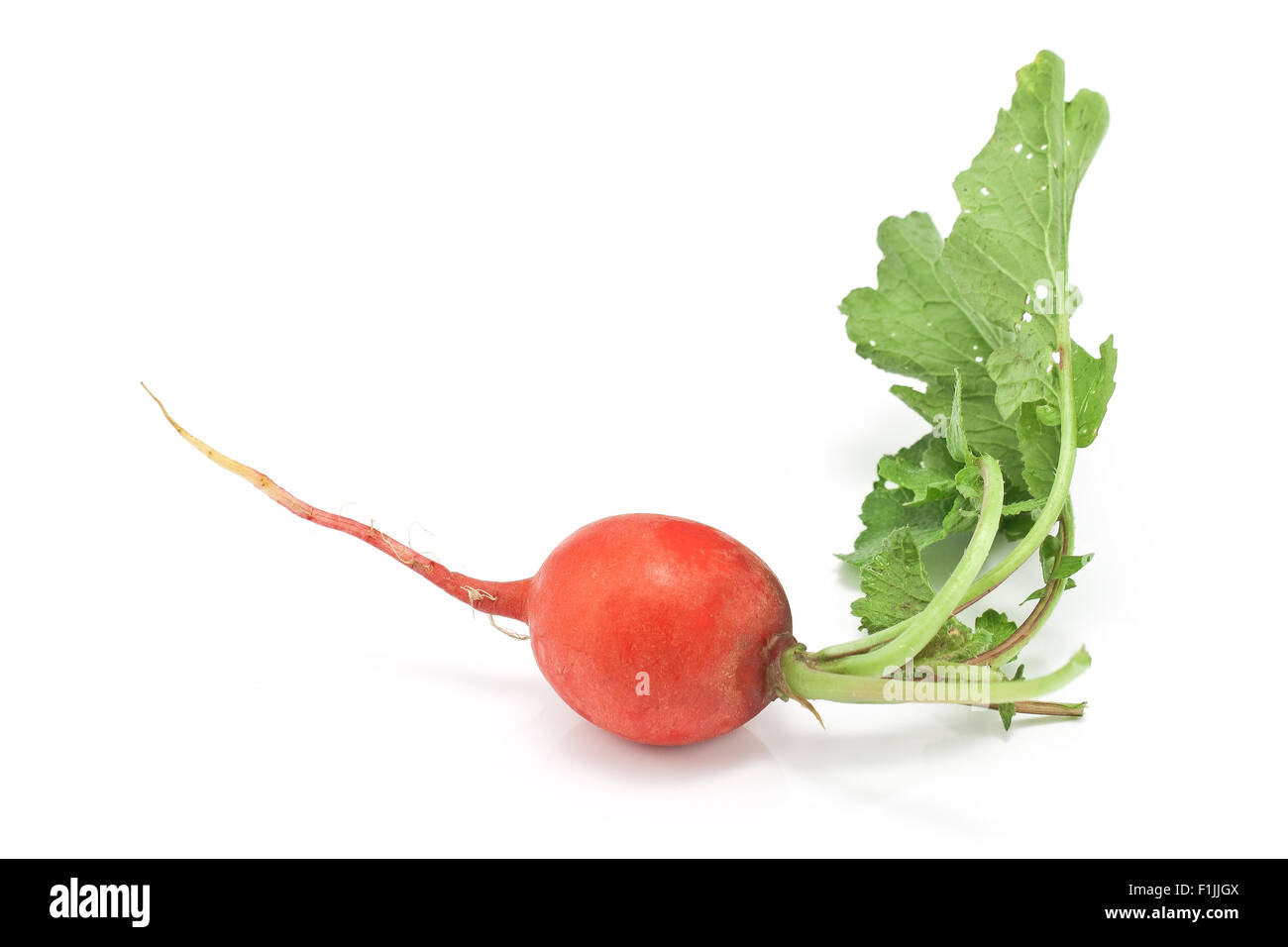 Sauce radish Cut Out Stock Images & Pictures - Alamy