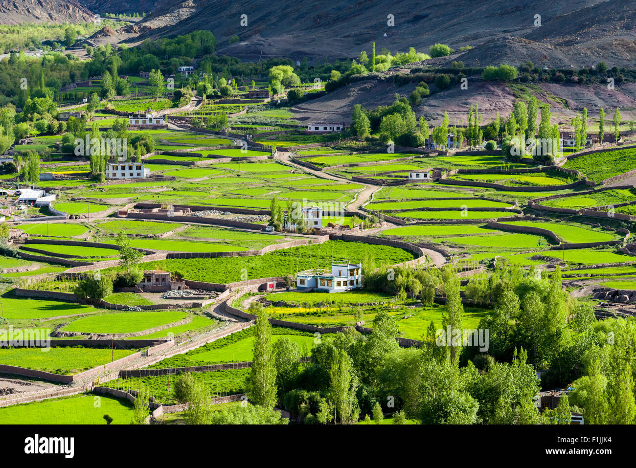 Aerial view of green fields and farm houses in a little valley high ...