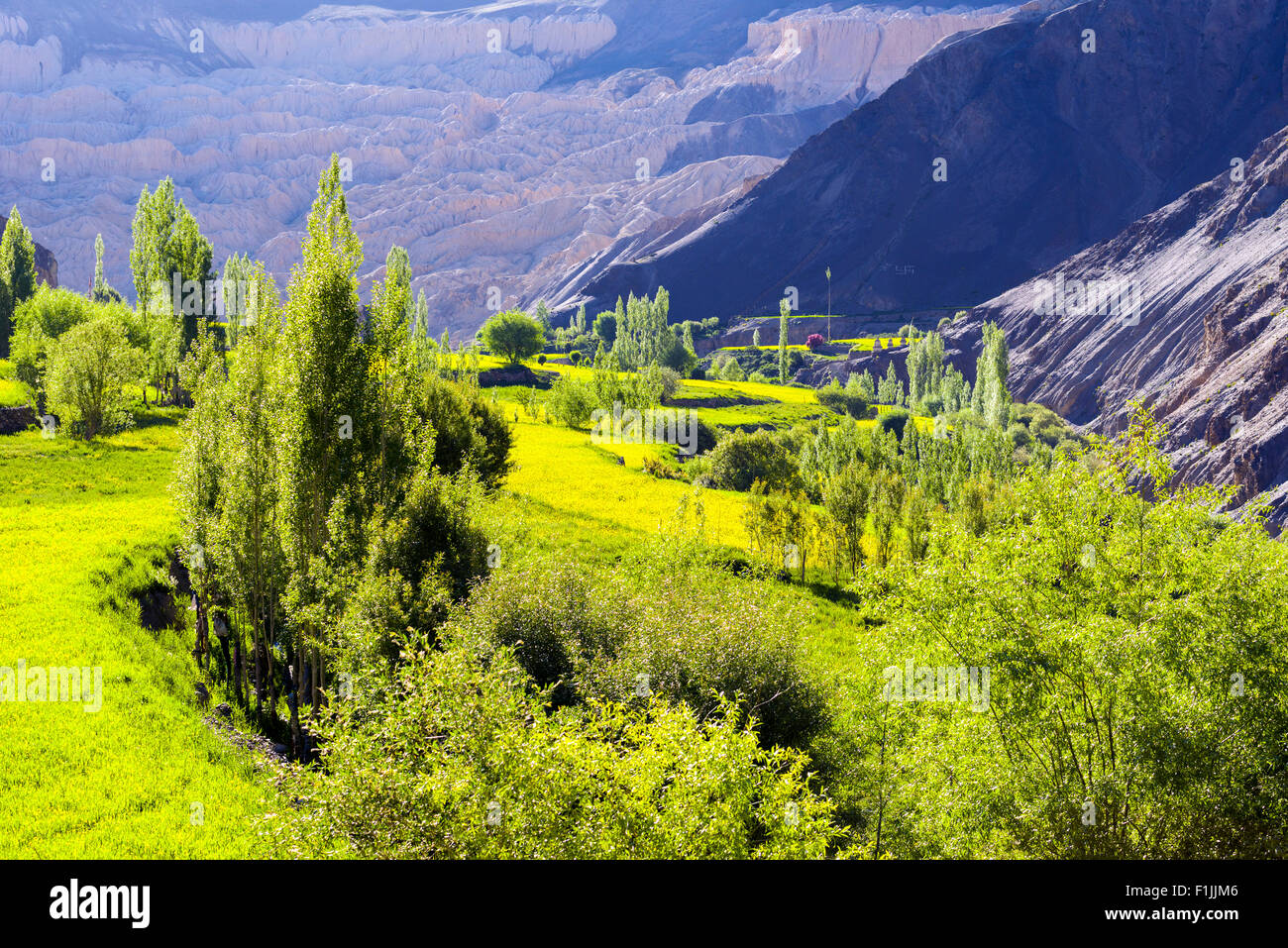 Green landscape india hi-res stock photography and images - Alamy