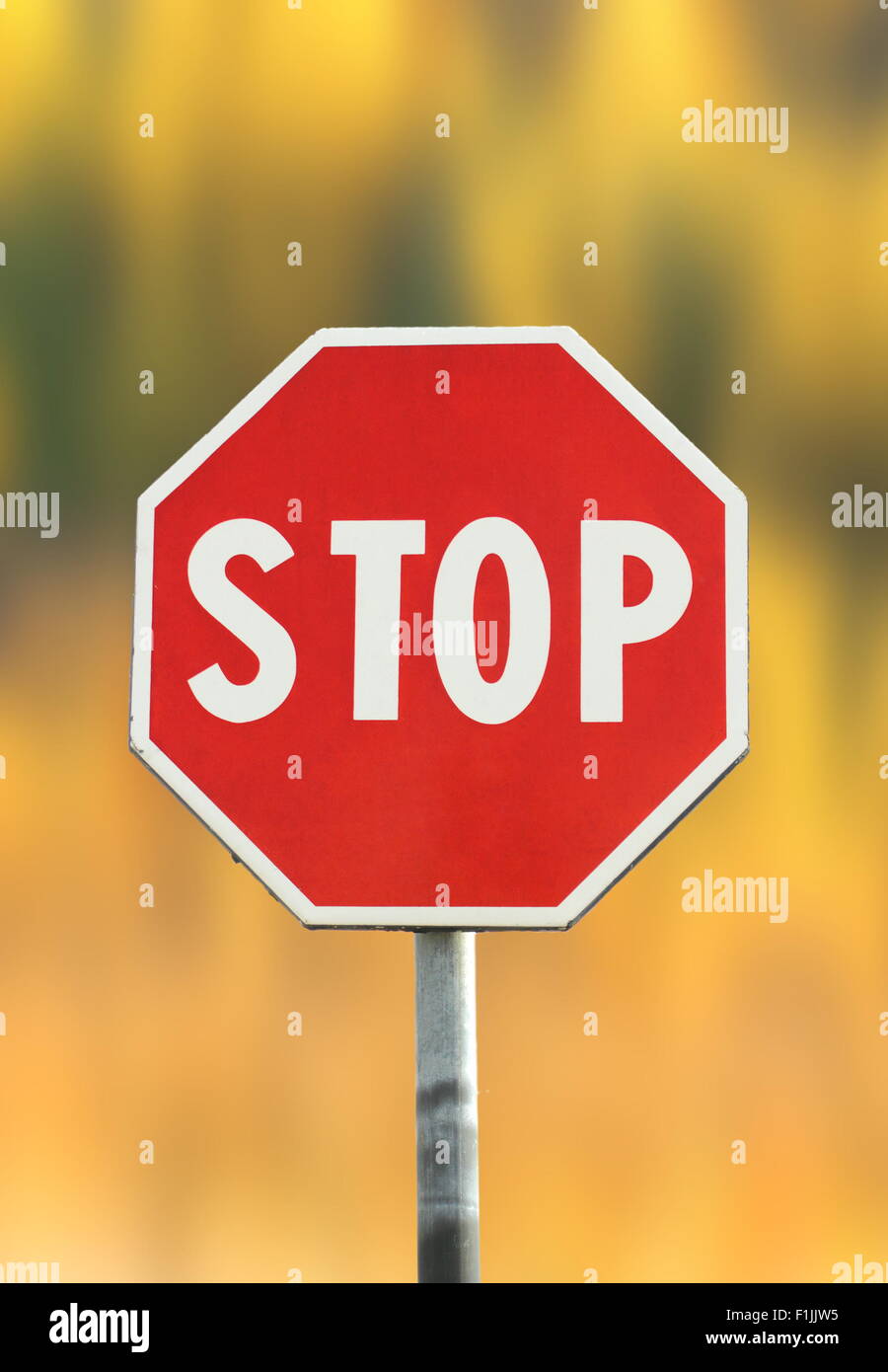 traffic red stop sign over beautiful faded autumn background Stock ...