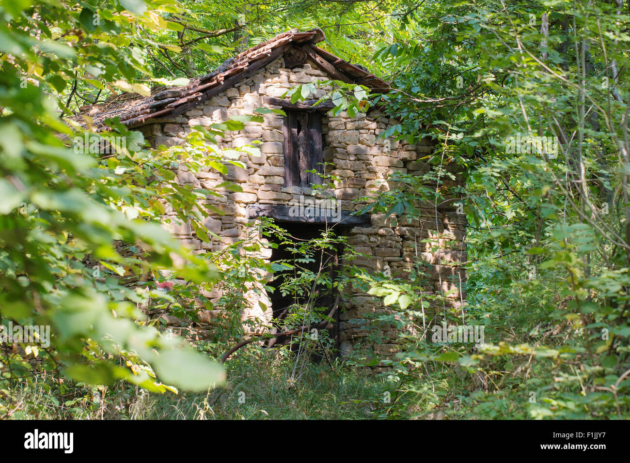 Stone Cottage In The Forest