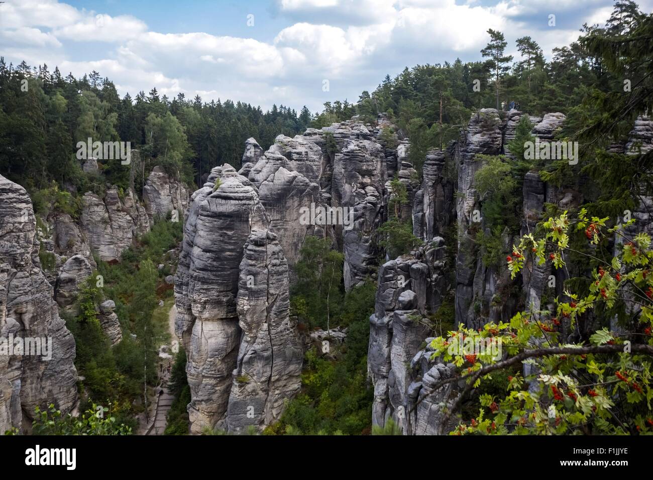 Prachovske Skaly, Bohemian Paradise Stock Photo - Alamy