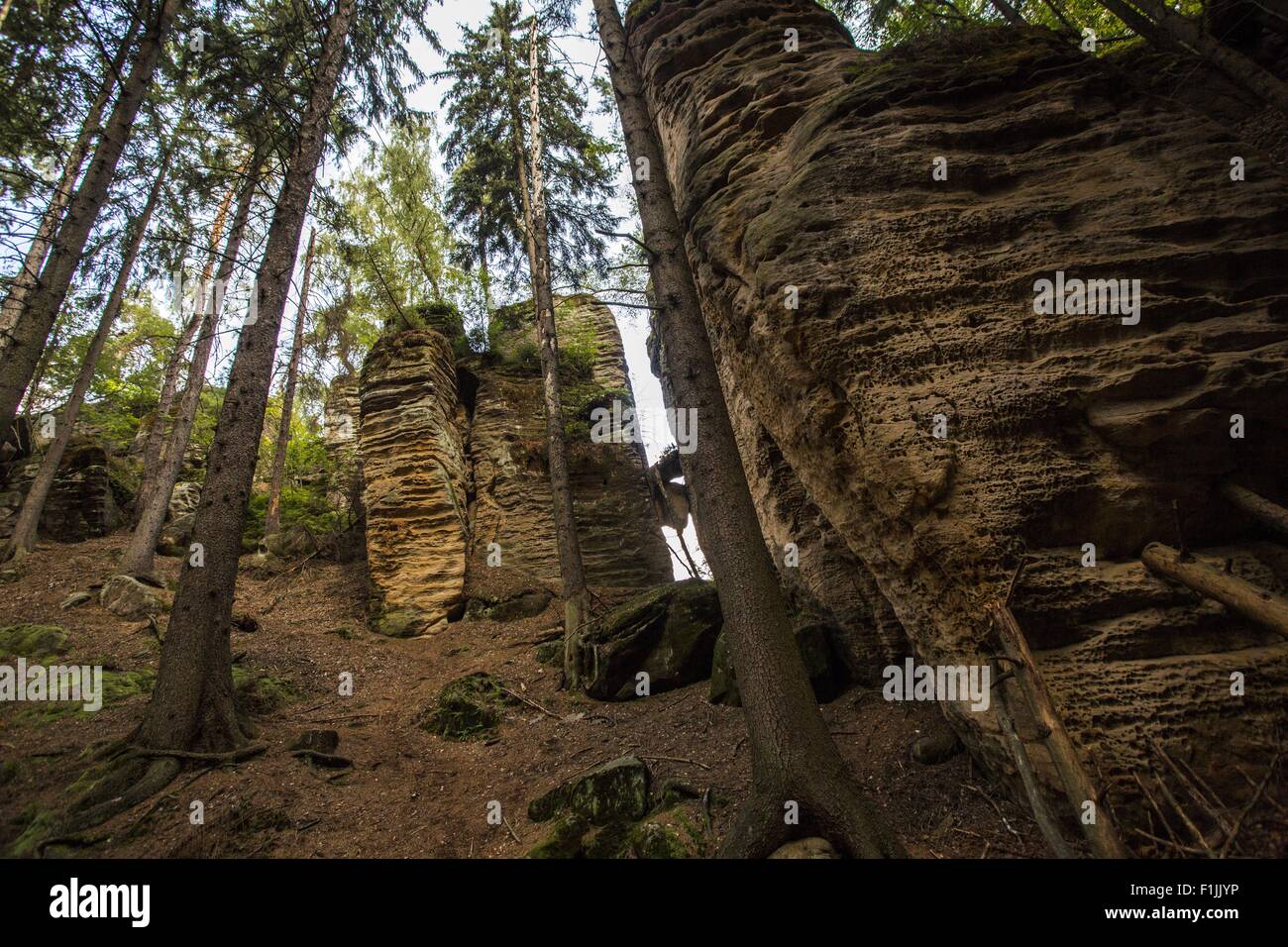 Prachovske Skaly, Bohemian Paradise Stock Photo - Alamy