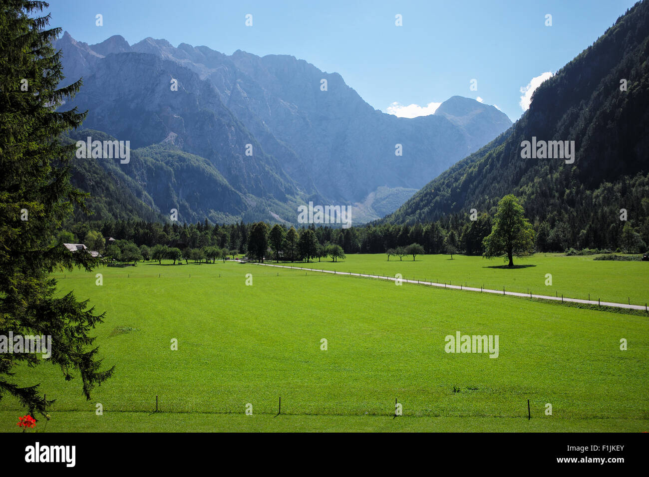 View of the Logar Valley, Slovenia Stock Photo - Alamy