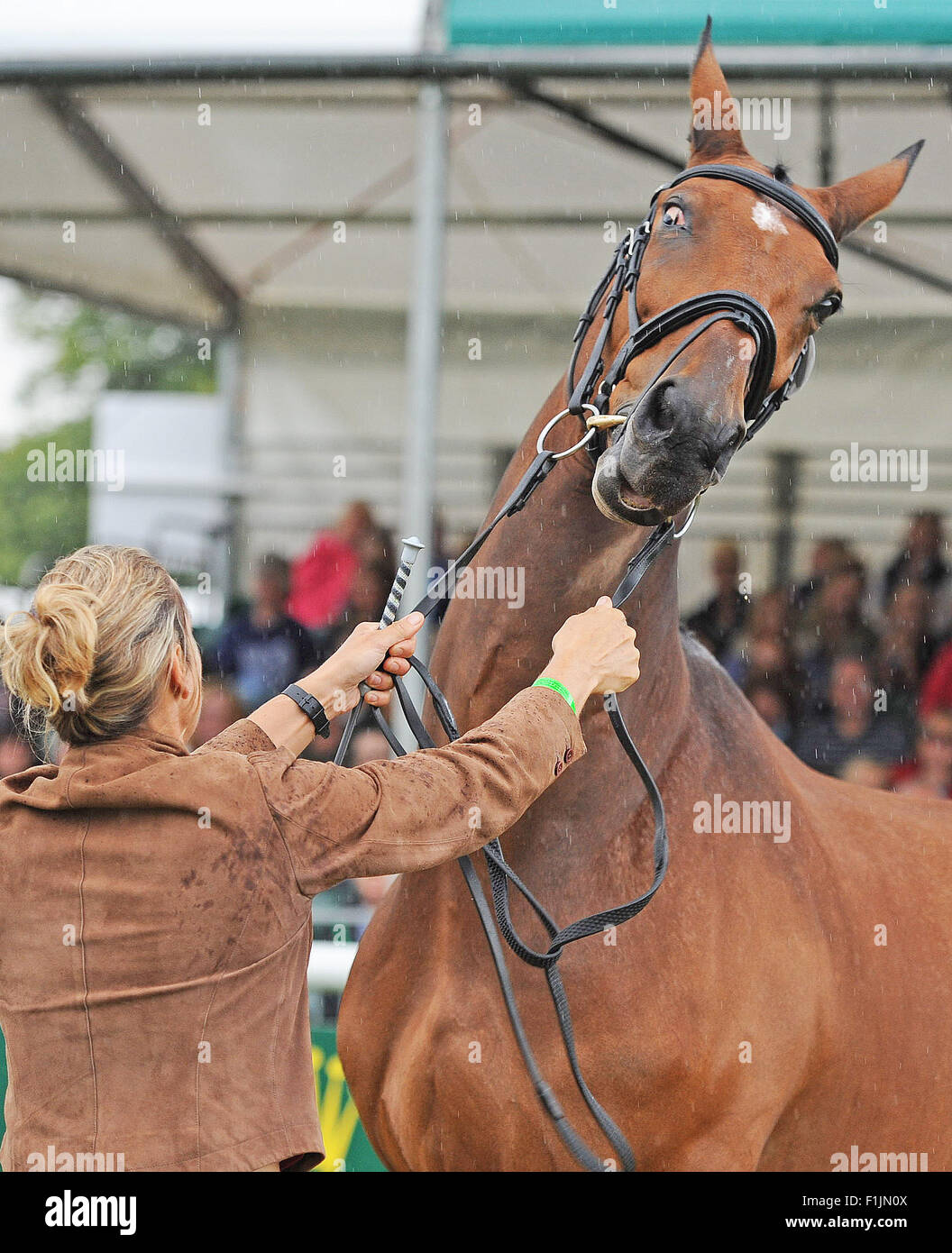 Stamford, UK. 2nd September, 2015. Land Rover Burghley Horse Trials ...