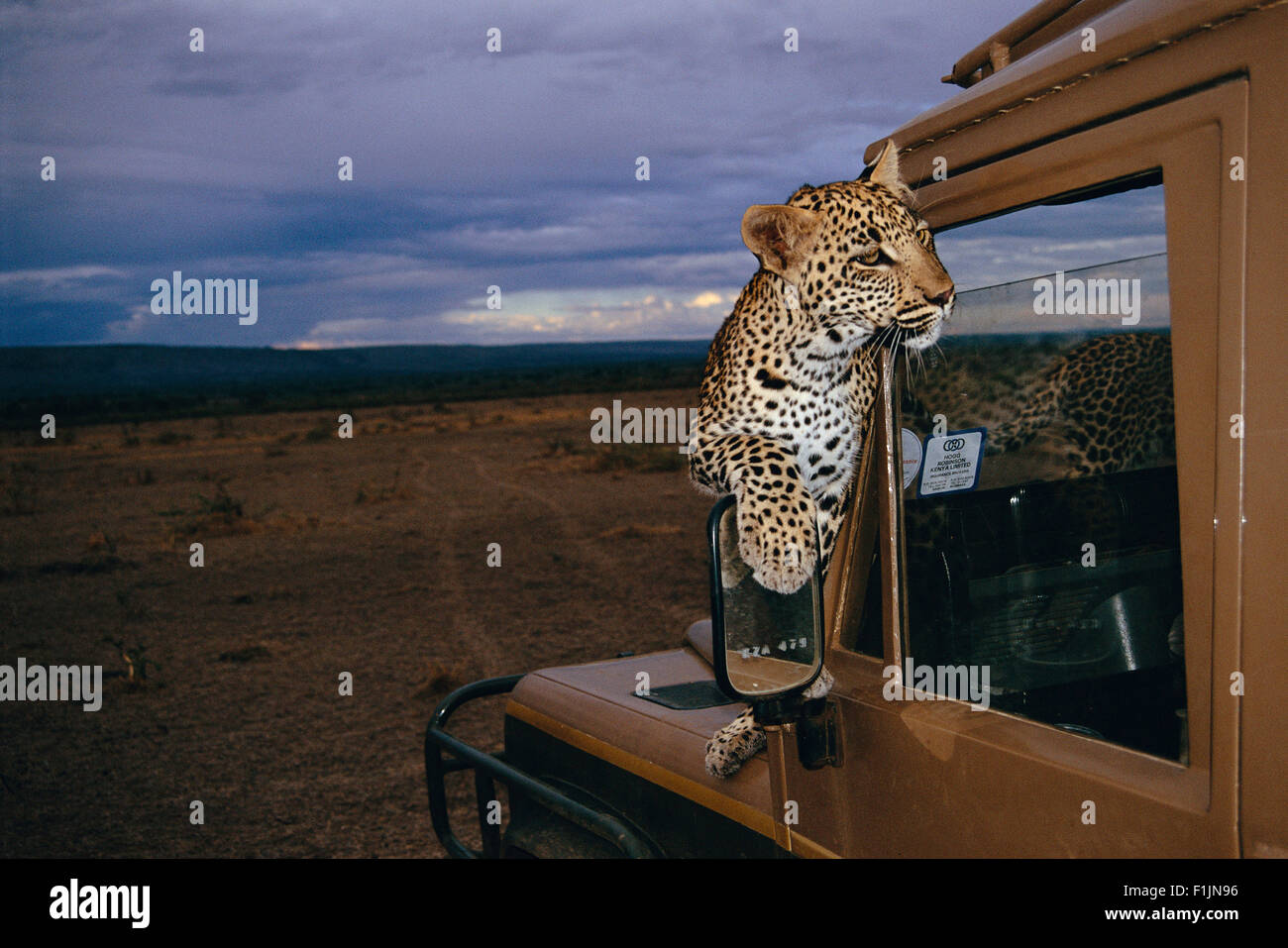 Land rover africa hi-res stock photography and images - Alamy