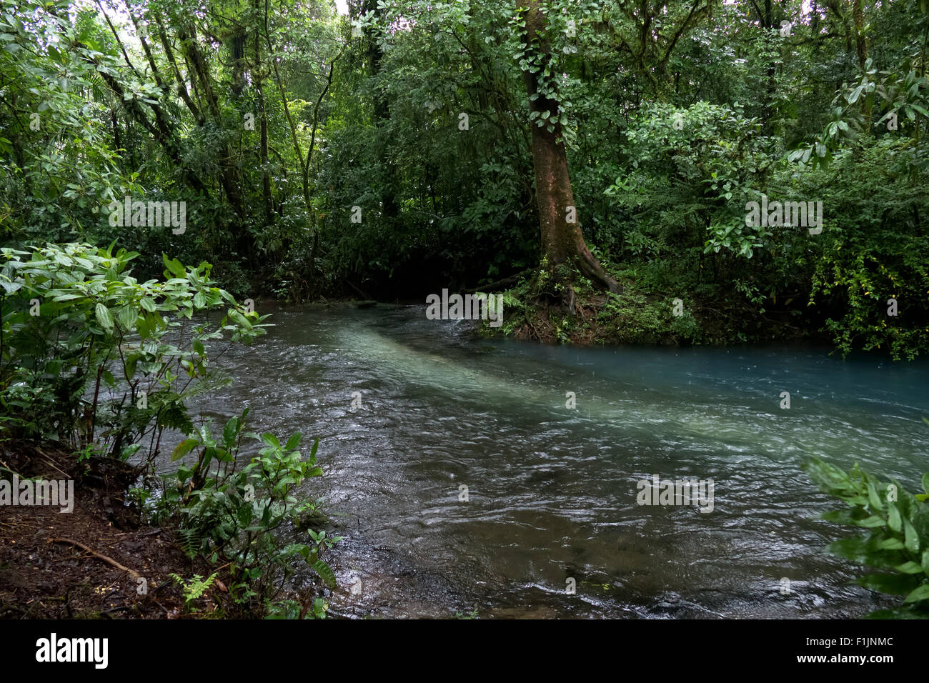 Tenorio Volcano National Park, Costa Rica, Central America. Jungle ...