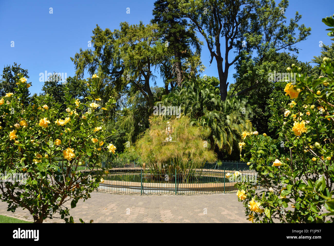Thorne hi-res stock photography and images - Alamy
