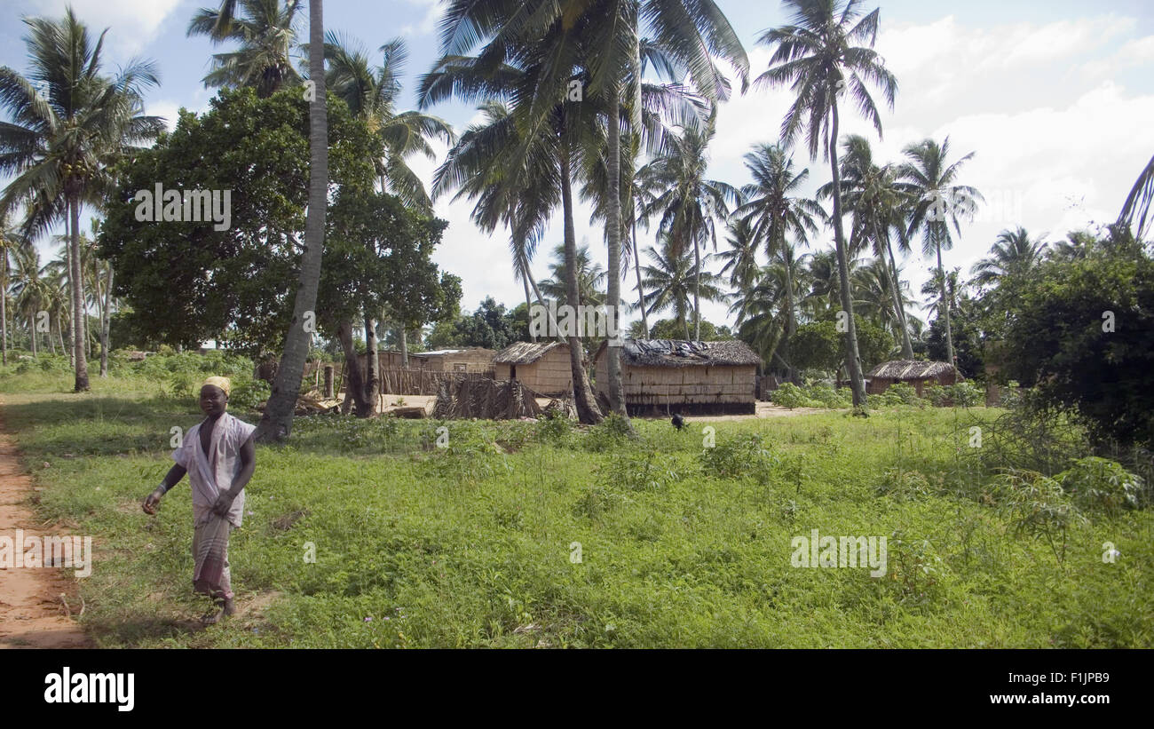 Rural village huts mozambique hi-res stock photography and images - Alamy
