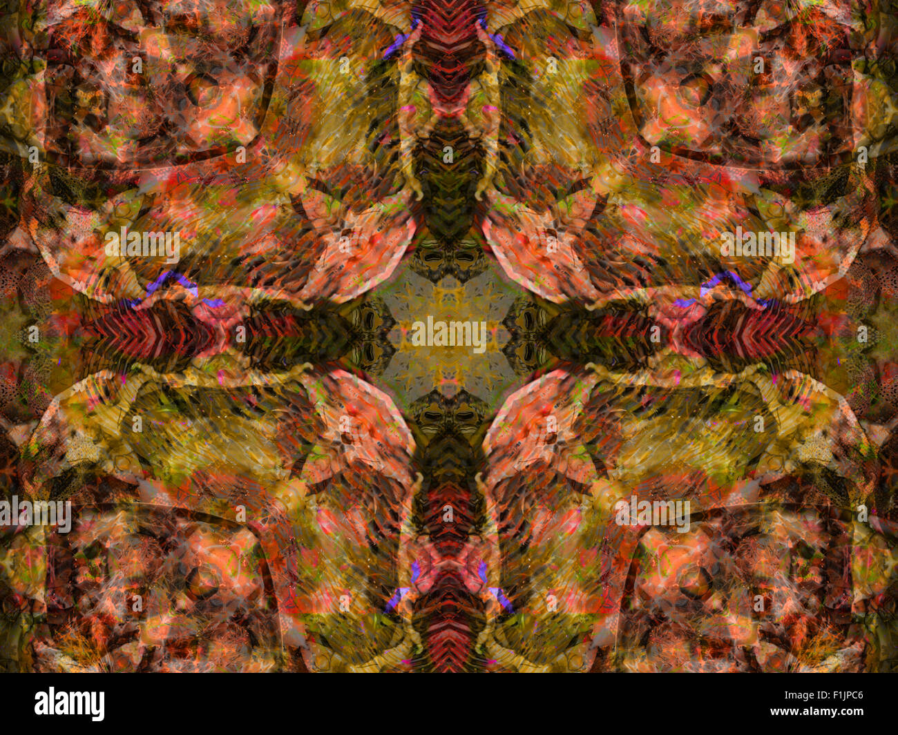 brown color drawing in kaleidoscope pattern - brown color drawing in ...