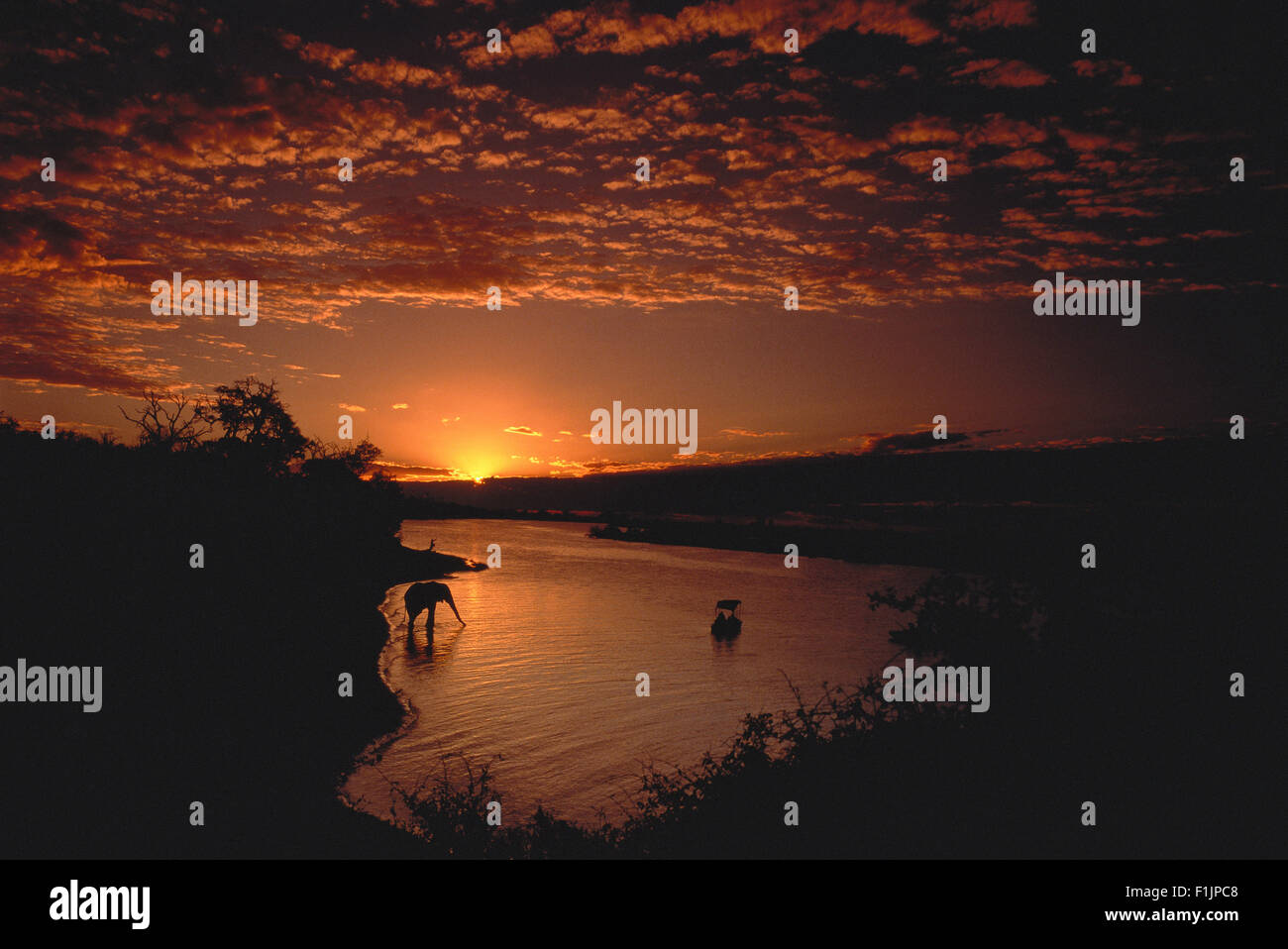 Botswana sunset hi-res stock photography and images - Alamy