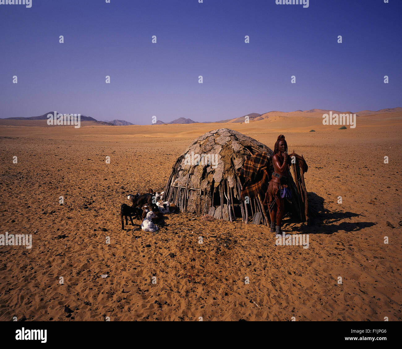 Himba woman hut hi-res stock photography and images - Alamy